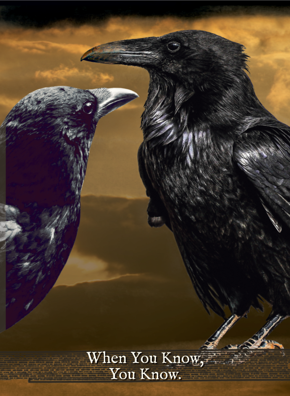 Art Portfolio - Coyote Holmberg